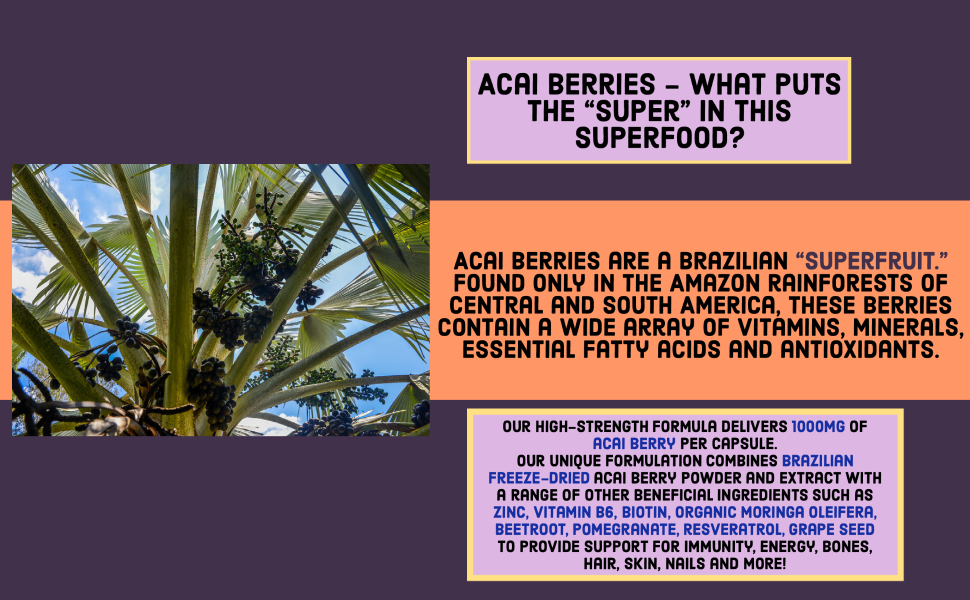 Acai berries - what puts the "super" in this superfood? – SUPER B PLUS ...